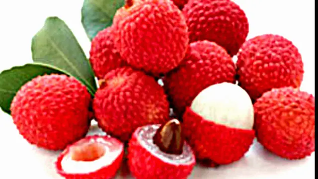 Awas, Makan Buah Leci Saat Perut Kosong Bisa Membunuhmu - Health ...