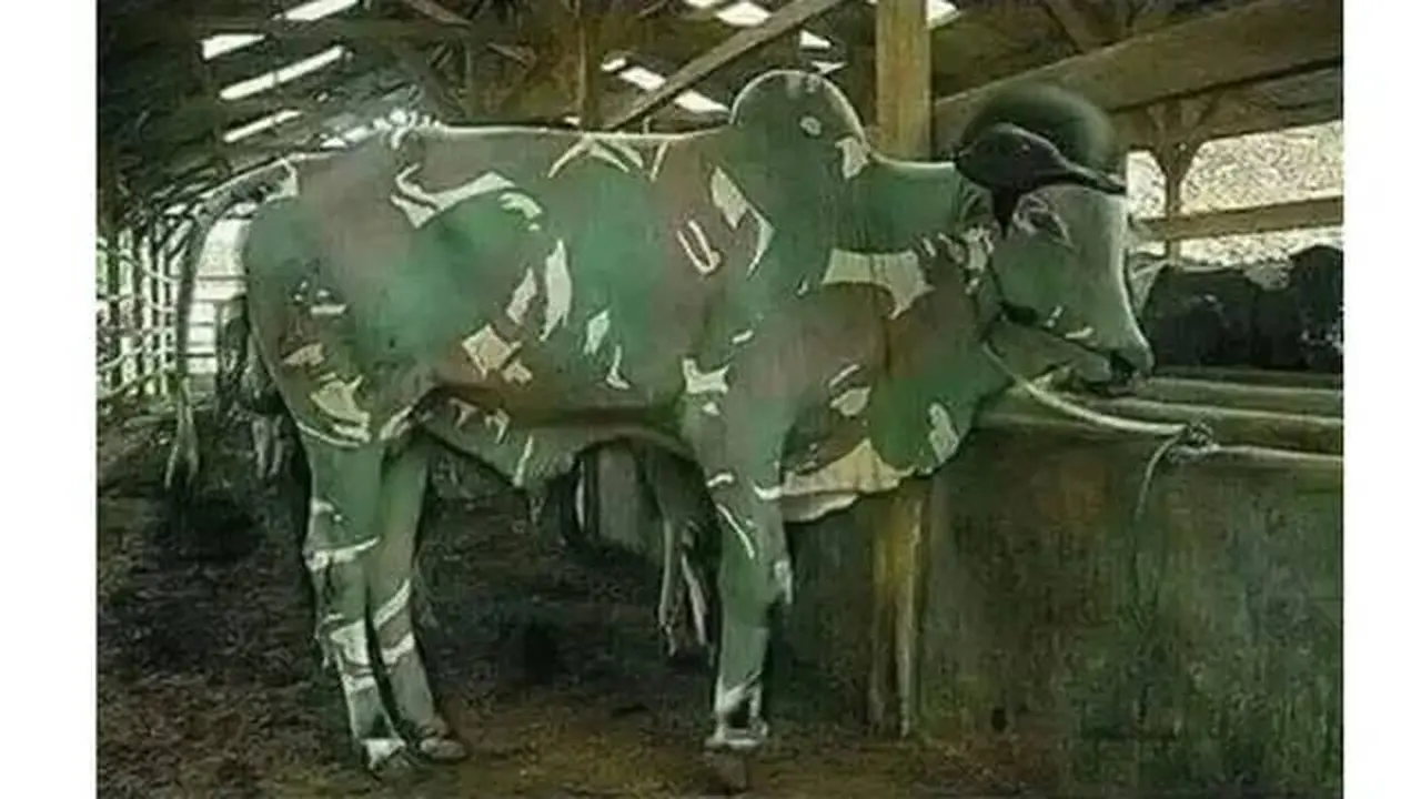 Arti Kata Absurd yang Jarang Diketahui, Lengkap dengan Contoh ...