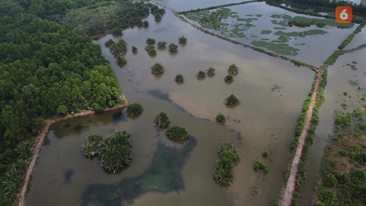 Delta Adalah Endapan di Muara Sungai, Kenali Jenis dan Proses Terbentuknya