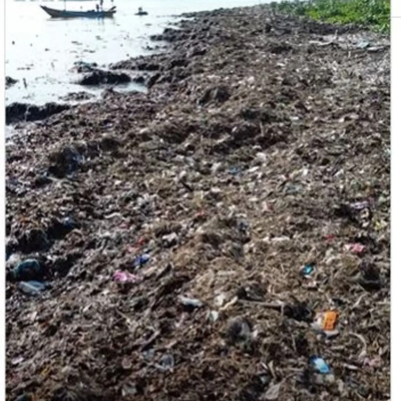 Pesisir Pantai Berubah Jadi Pulau Sampah, Nelayan di Muncar Banyuwangi ...