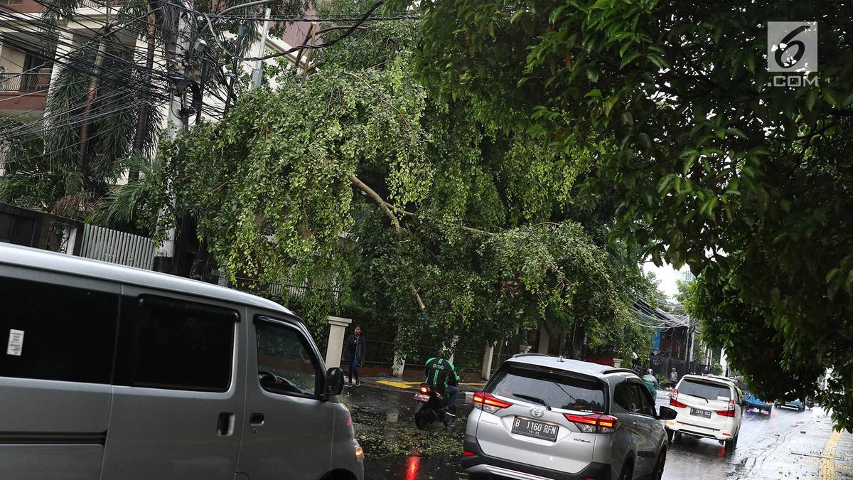 Pohon Tumbang Timpa Tiang Rambu Lalu Lintas di Menteng