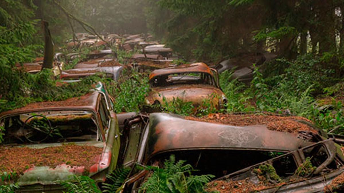 Kisah Kuburan Mobil Tua yang Bikin Bergidik - Otomotif Liputan6.com