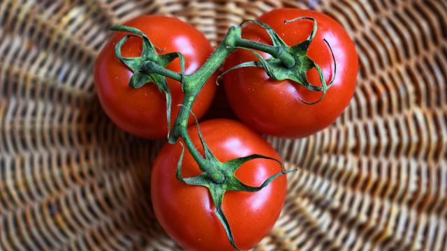 7 Cara Membuat Jus Tomat Sehat Dengan Berbagai Bahan, dari Apel Hingga ...