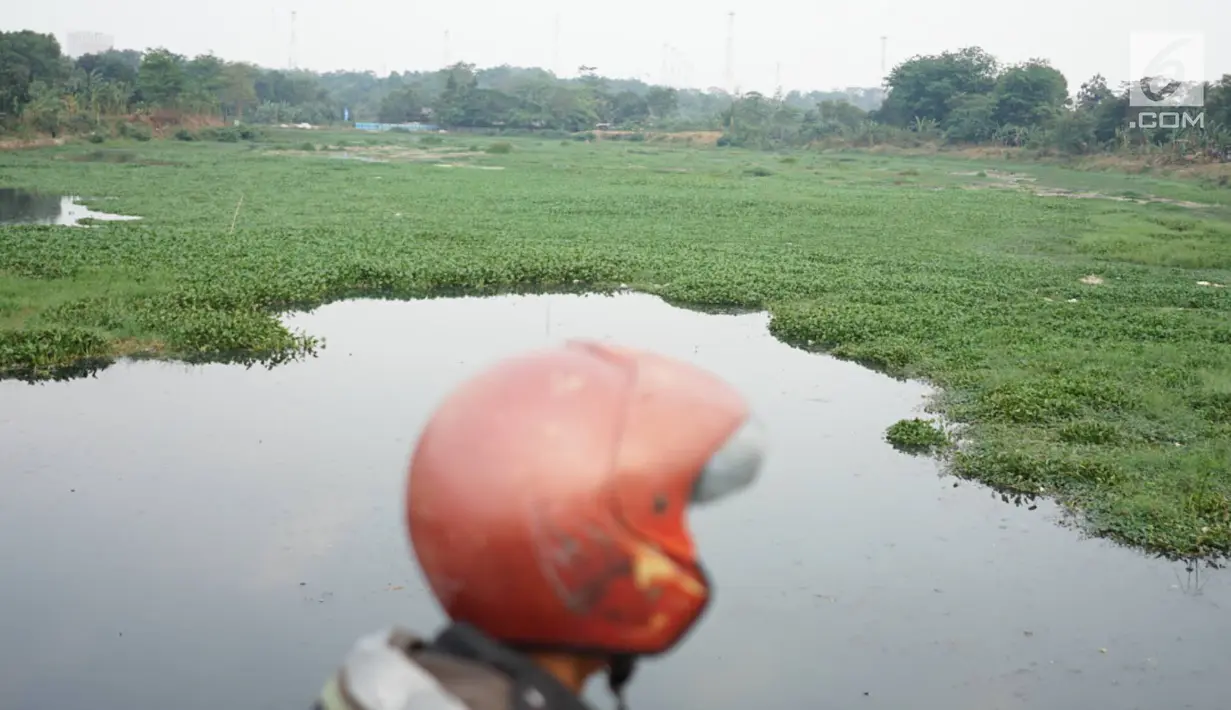 FOTO: Setu di Depok Jadi Lautan Eceng Gondok - Foto Liputan6.com