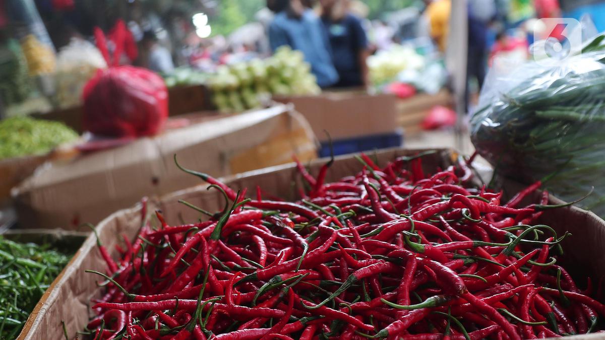 Mendag Jamin Harga Cabai Tak Mahal di Musim Hujan, Ada Subsidi Pusat dan Daerah - Bisnis ...