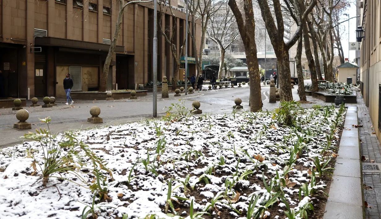 Hujan Salju yang Jarang Terjadi Menyelimuti Johannesburg - Foto ...