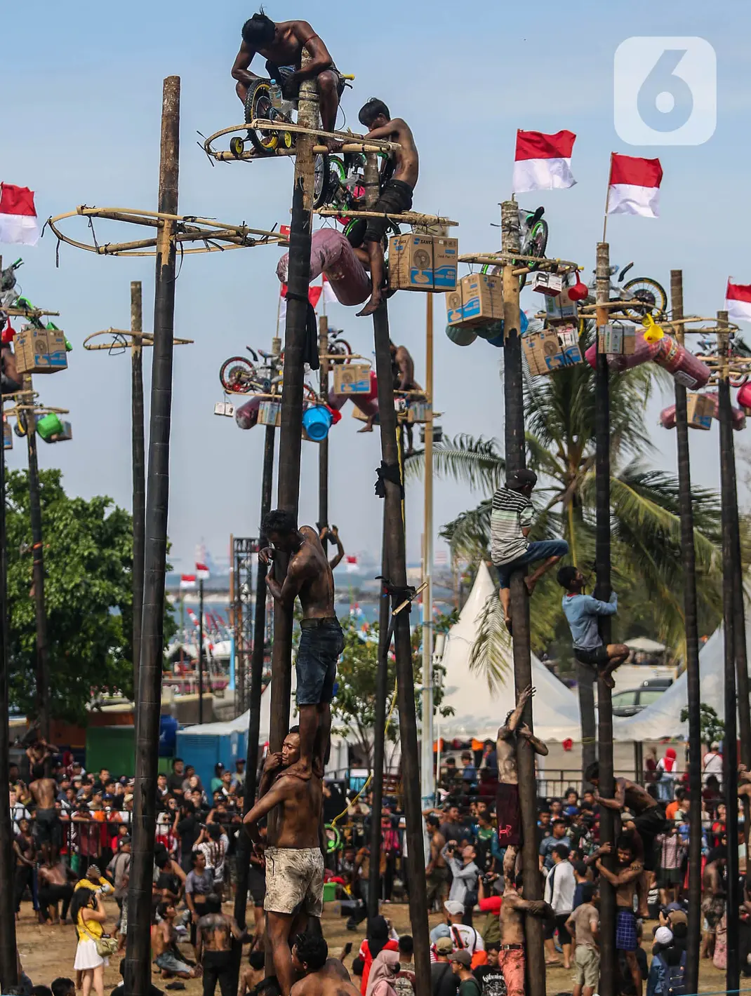 Panjat Pinang, Lomba Kolosal yang Paling Diminati Saat Perayaan HUT ...