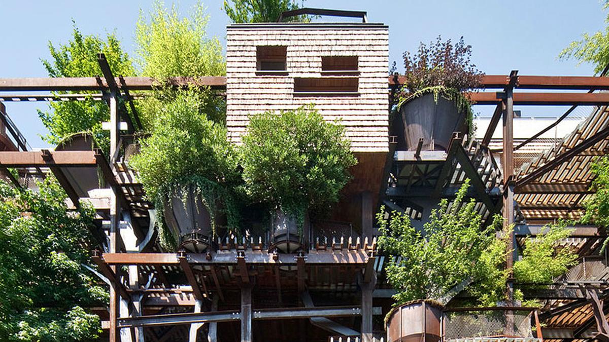 'Rumah Pohon Raksasa' di Tengah Kota - Global Liputan6.com