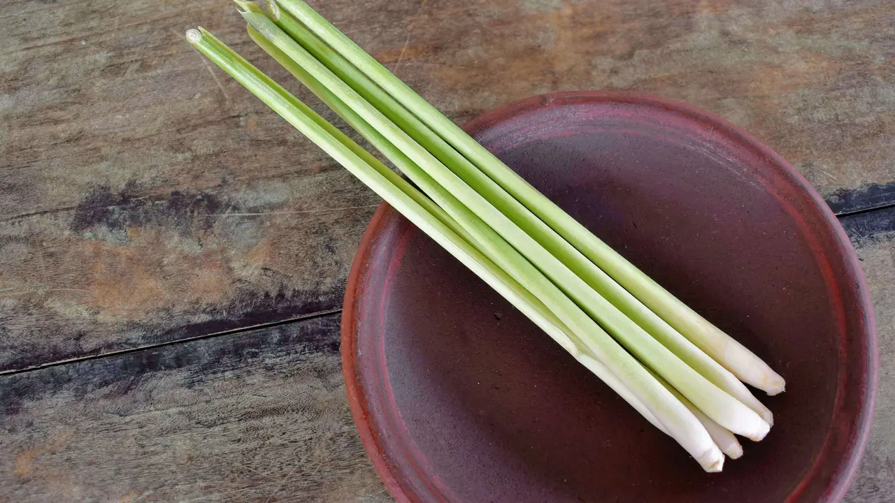Manfaat Sereh untuk Kesehatan Wanita, Simak Resep Minuman Serai - Hot ...