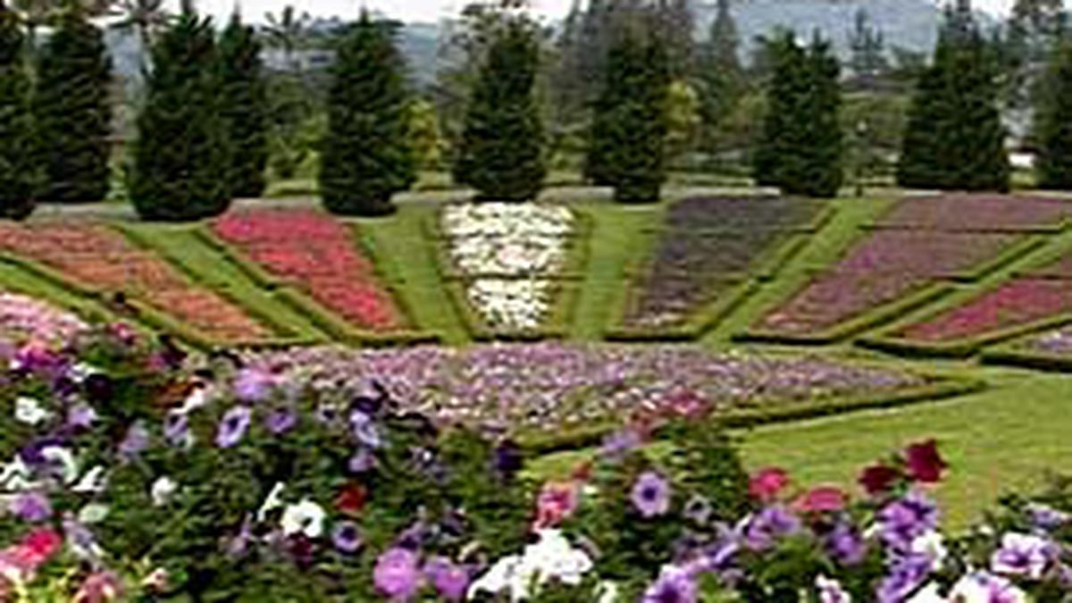 Say It with Flower di Taman Bunga Nusantara