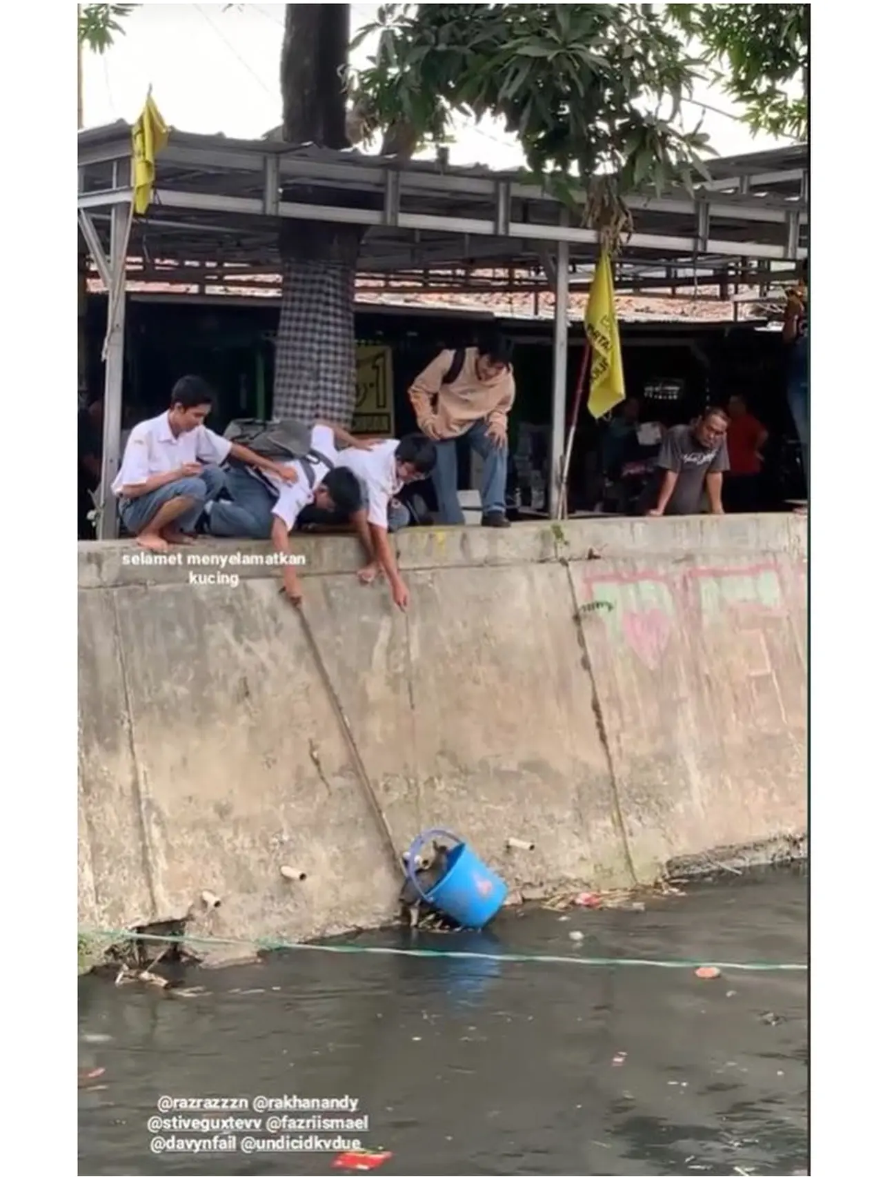 Momen 4 Pelajar SMA Kerja Sama Tolong Kucing yang Jatuh ke Sungai ...