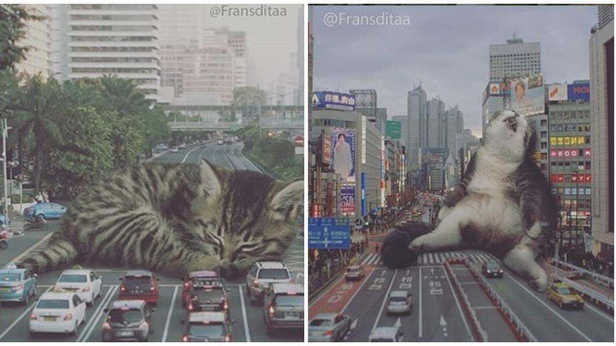 7 Editan Kucing Raksasa Tidur di Tengah Jalan Ini Kocak Banget