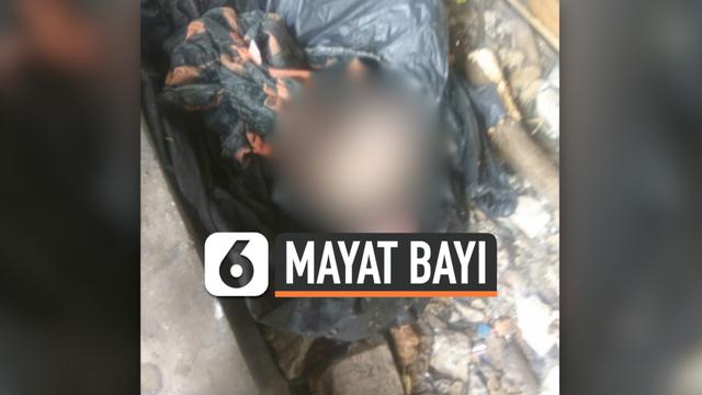 Berita Penemuan Mayat Bayi Hari Ini - Kabar Terbaru Terkini | Liputan6.com