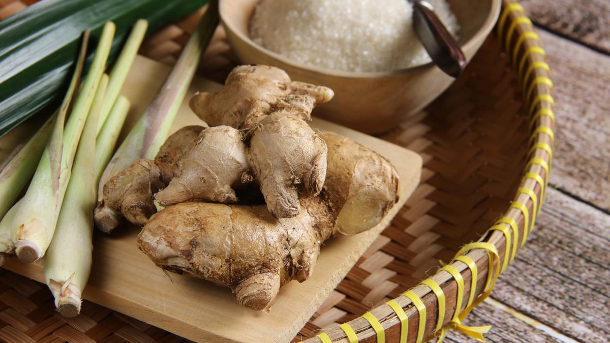 Cara Menyimpan Jahe Agar Awet Segar dan Tidak Bertunas