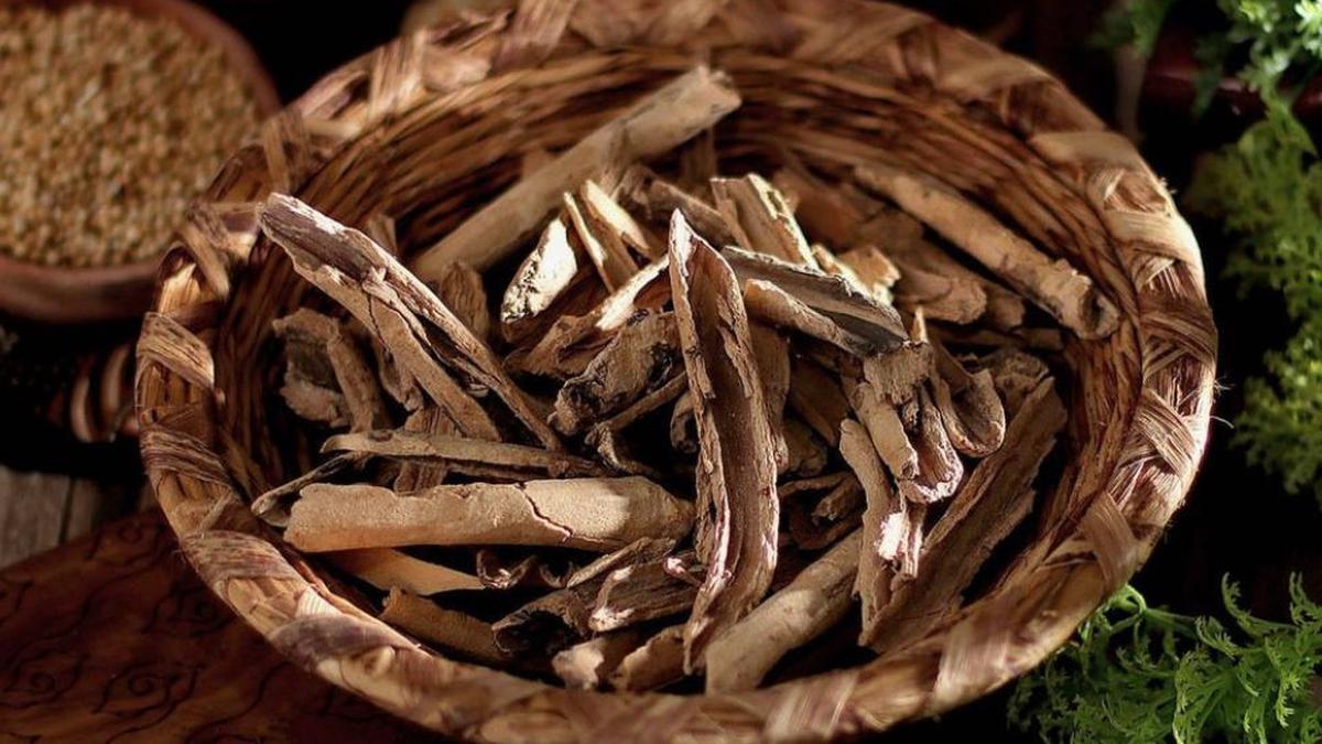 Mengenal Kayu Mesoyi, Salah Satu Bahan Jamu Terlambat Haid Serta Dibuat ...