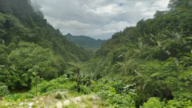 10 Rekomendasi Curug di Bogor Rating Tertinggi di 2025: Liburan Menyegarkan