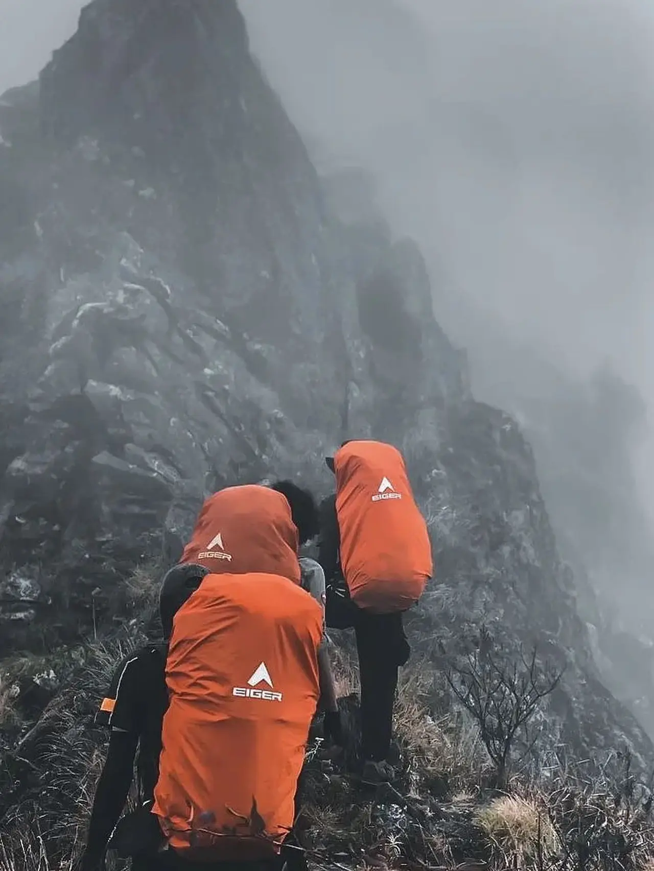 6 Fakta Gunung Klabat, Puncak Tertinggi di Sulawesi Utara - Lifestyle ...