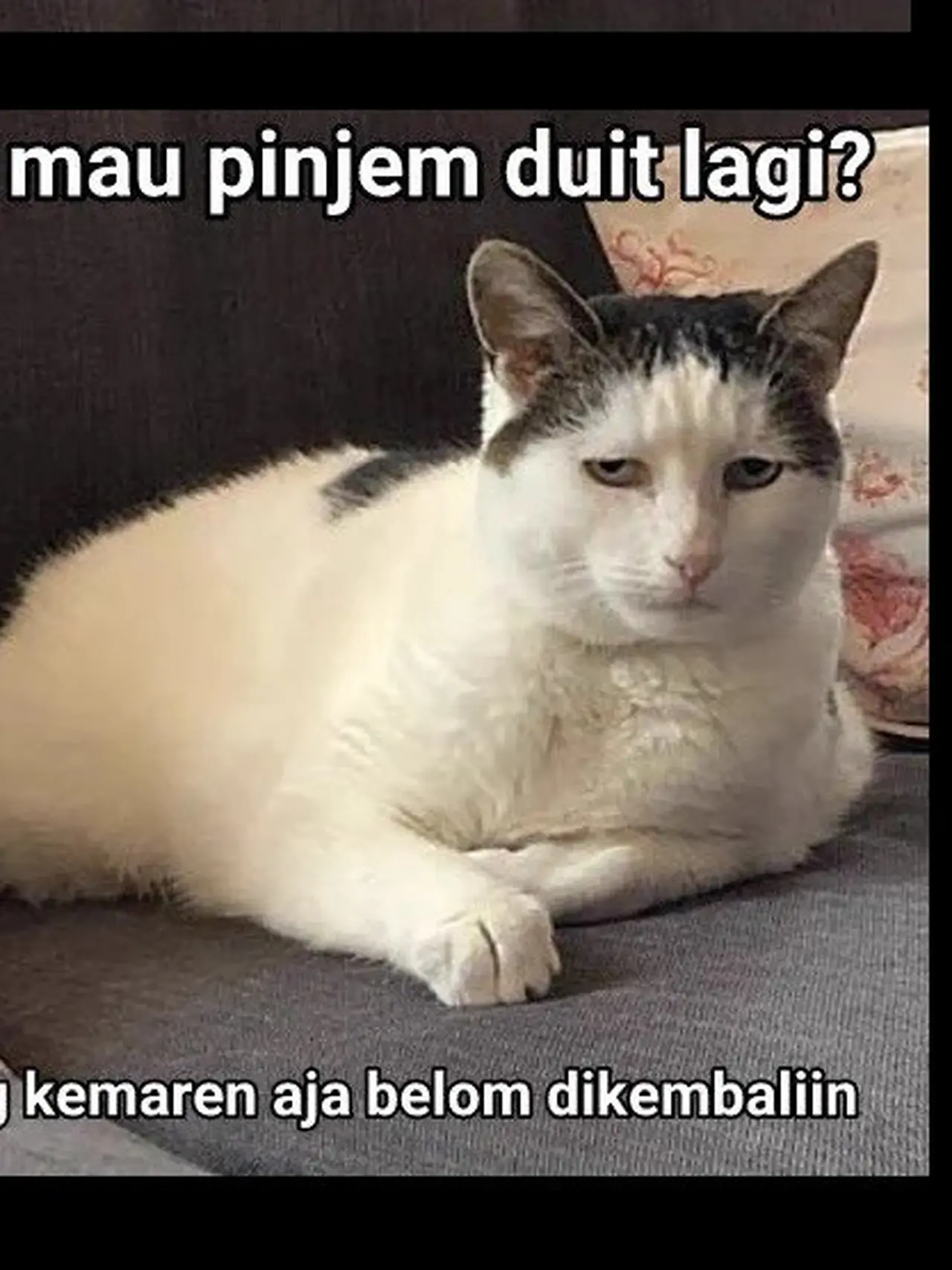 6 Meme Pinjam Duit Ini Kocak, Bikin Geleng Kepala - Hot Liputan6.com