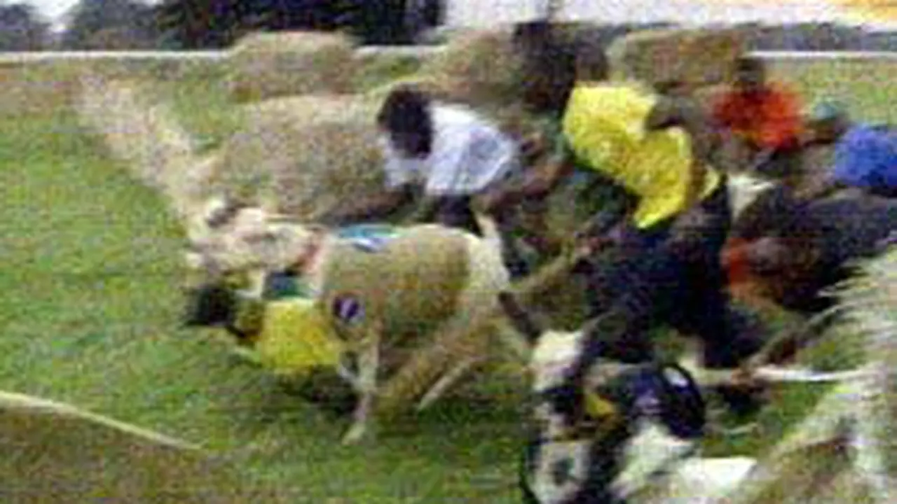 Hiburan Tahunan Lomba Lari Kambing di Kenya - Global Liputan6.com