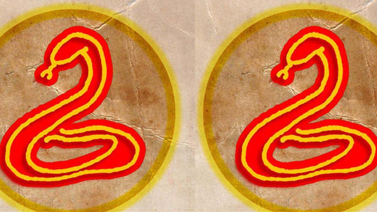 Peruntungan Angka Shio Ular di Tahun 2014 (Part 4) - Lifestyle Fimela.com