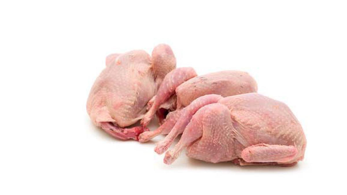 Tips Memilih Daging Burung Puyuh Segar - Lifestyle Fimela.com