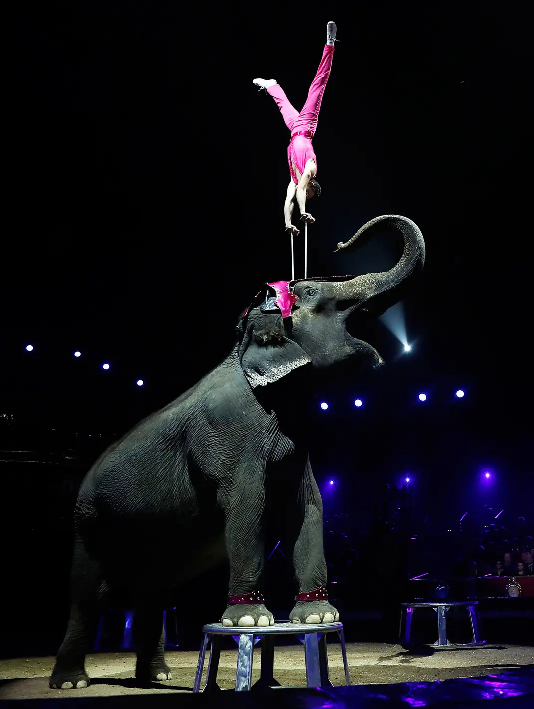 FOTO: Pembukaan Festival Sirkus Internasional Monte Carlo - Foto ...