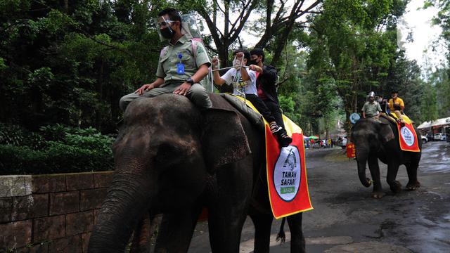 Harga Tiket Taman Safari Per Mobil di 2025 dan Cara Beli Tiketnya ...