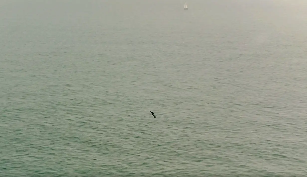 FOTO: Aksi Manusia Terbang Lintasi Selat Inggris - Foto Liputan6.com