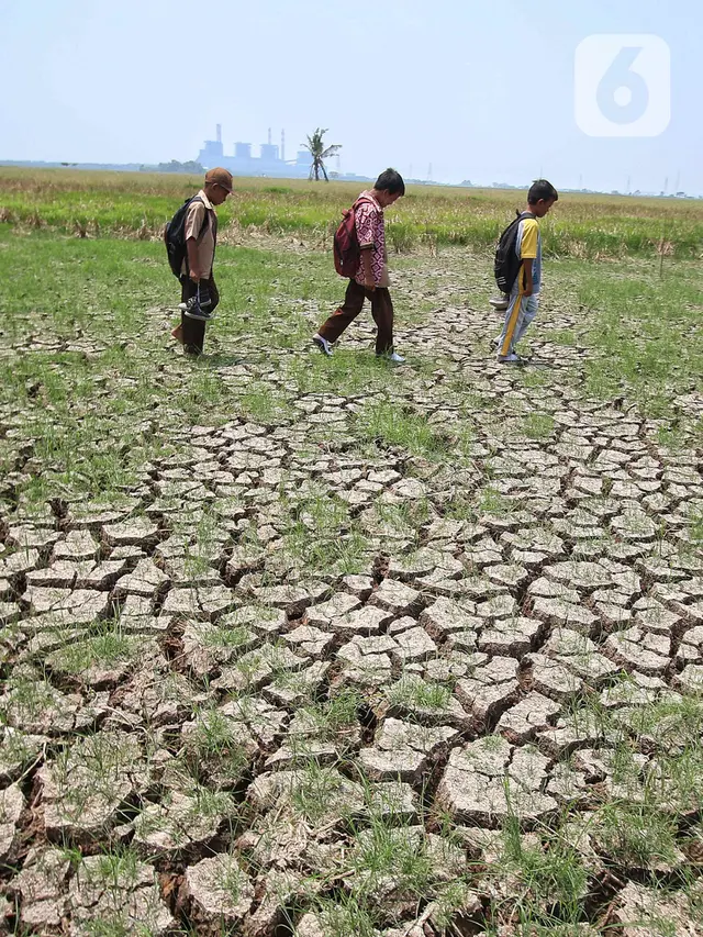 Bmkg Imbau Warga Bengkulu Waspada Perubahan Cuaca Akibat Dampak El Nino