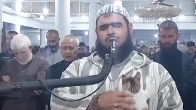 Viral Kucing Panjat Tubuh Sheikh Walid Mehsas Saat Jadi Imam Tarawih, Ini Deretan Momen Kucing ...