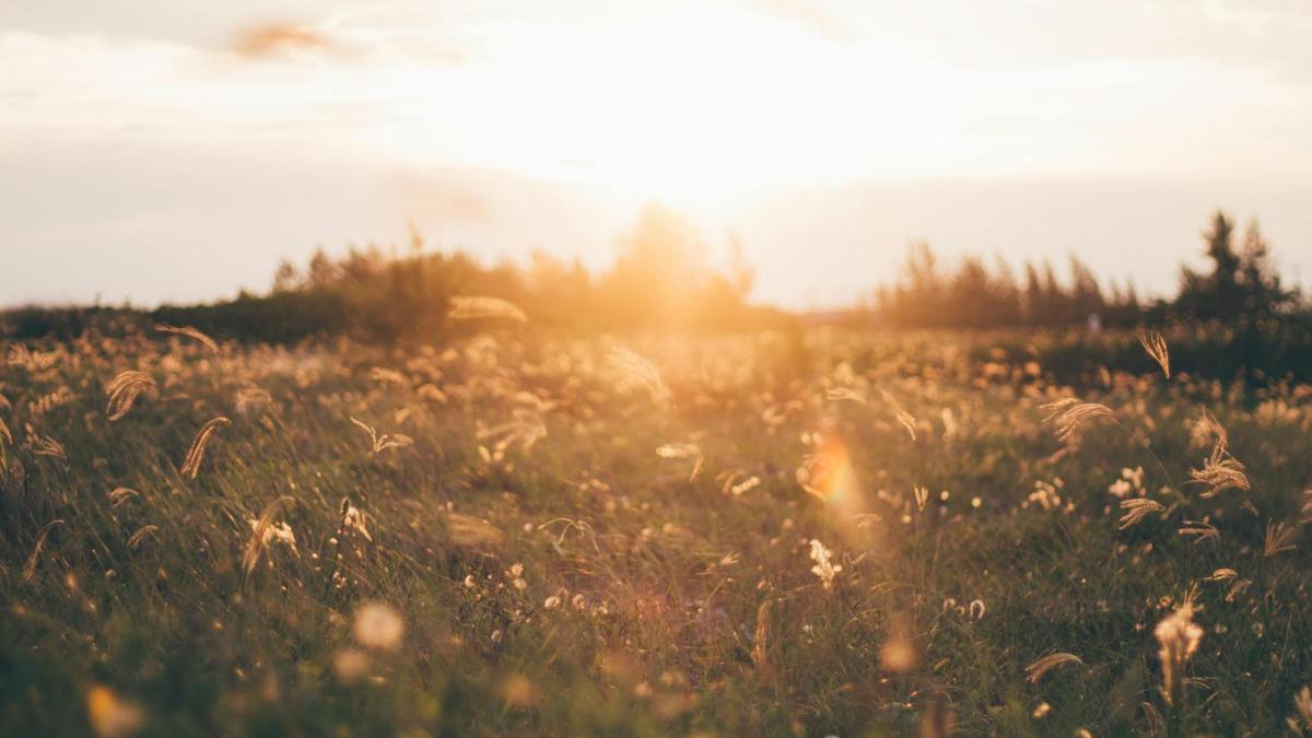 40 Kata-Kata Bijak Pagi Hari yang Penuh Pesan Bermakna - Ragam Bola.com