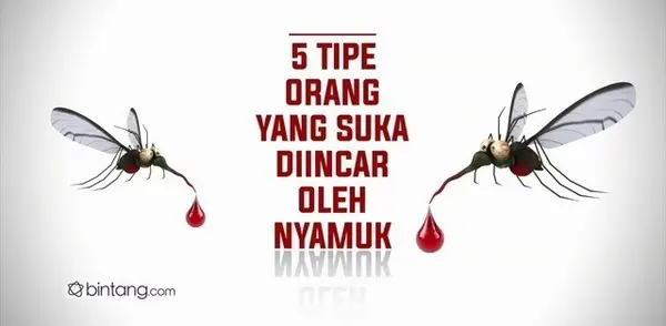 Tipe-tipe orang Terbaru - Berita, Foto, Video | Fimela.com