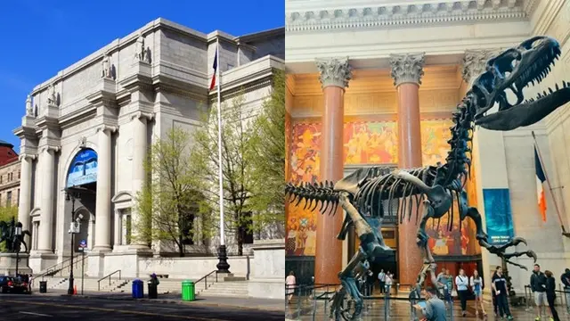 6 Museum Sejarah Alam Terunik di Dunia, Interiornya Bikin Kagum - Hot ...