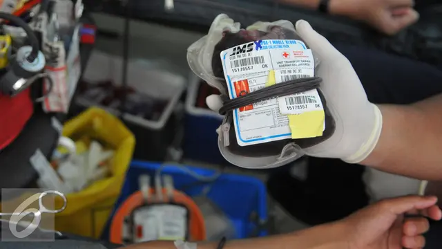 Fungsi Darah Pada Manusia dan Jenis-jenis Sel Darah yang Wajib Kamu ...