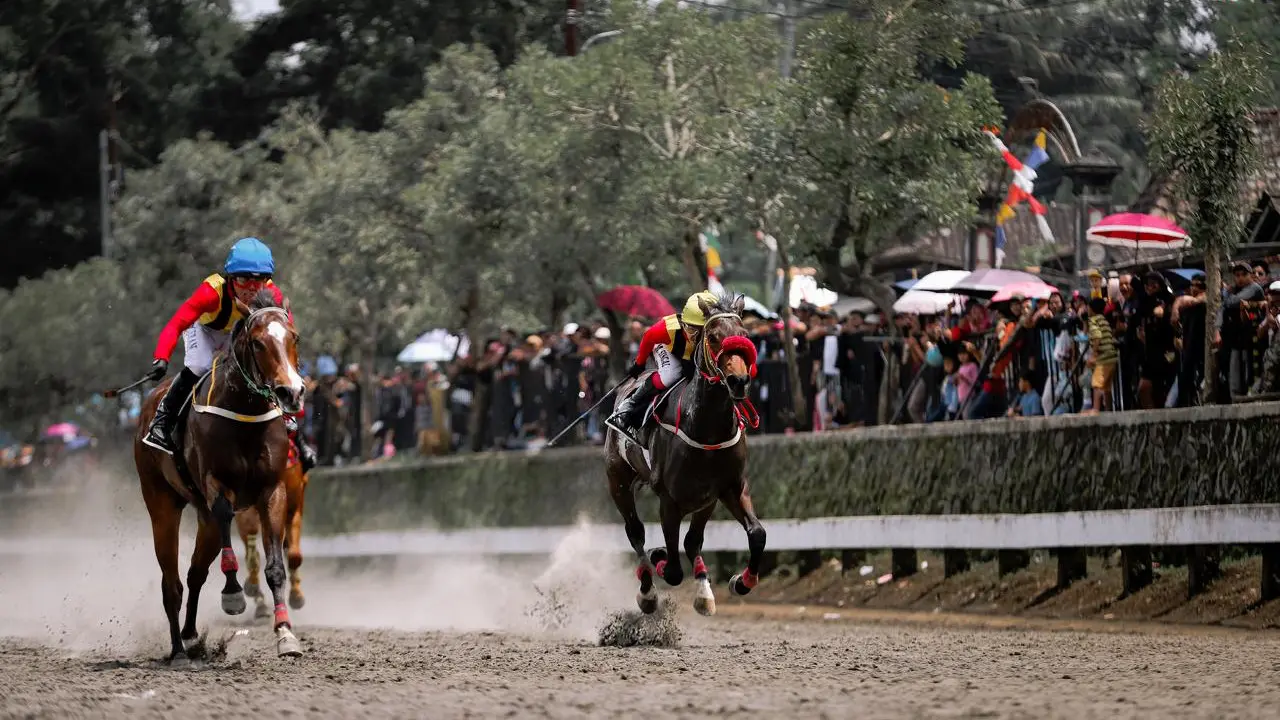 Indonesia’s Horse Racing: 140 Kuda Bersaing di 18 Kelas Triple Crown ...