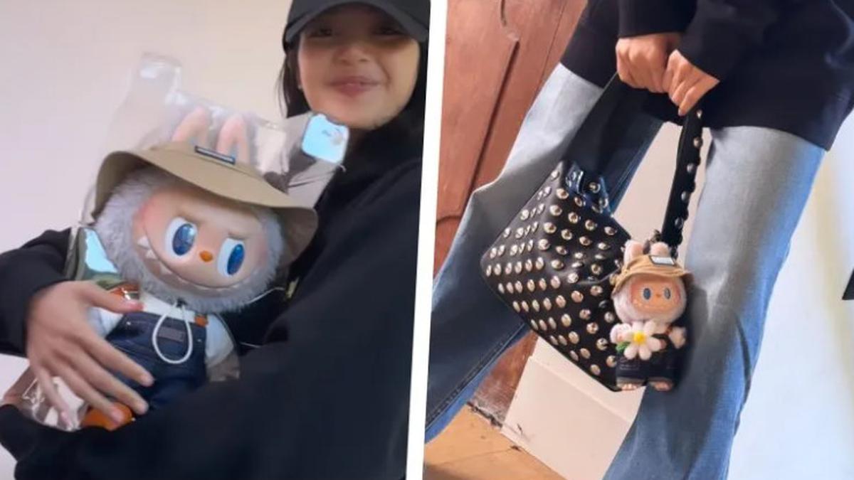 6 Seri Boneka Labubu Paling Populer, Ada yang Dimiliki Lisa Blackpink