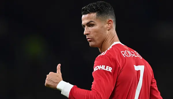 Mengenal Wisdom, Burung Liar Tertua Berusia 70 Tahun - Global Liputan6.com