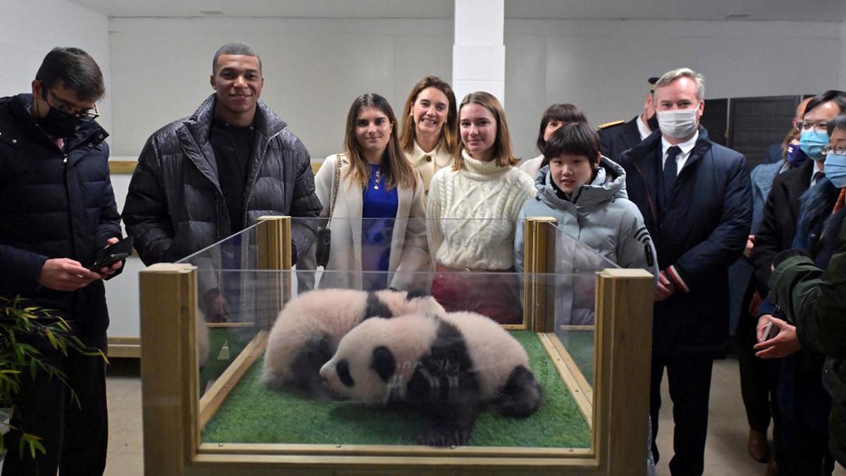 FOTO: Kylian Mbappe Jadi Wali Baptis Anak Panda