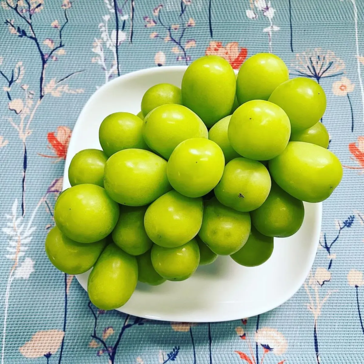 Anggur Hijau