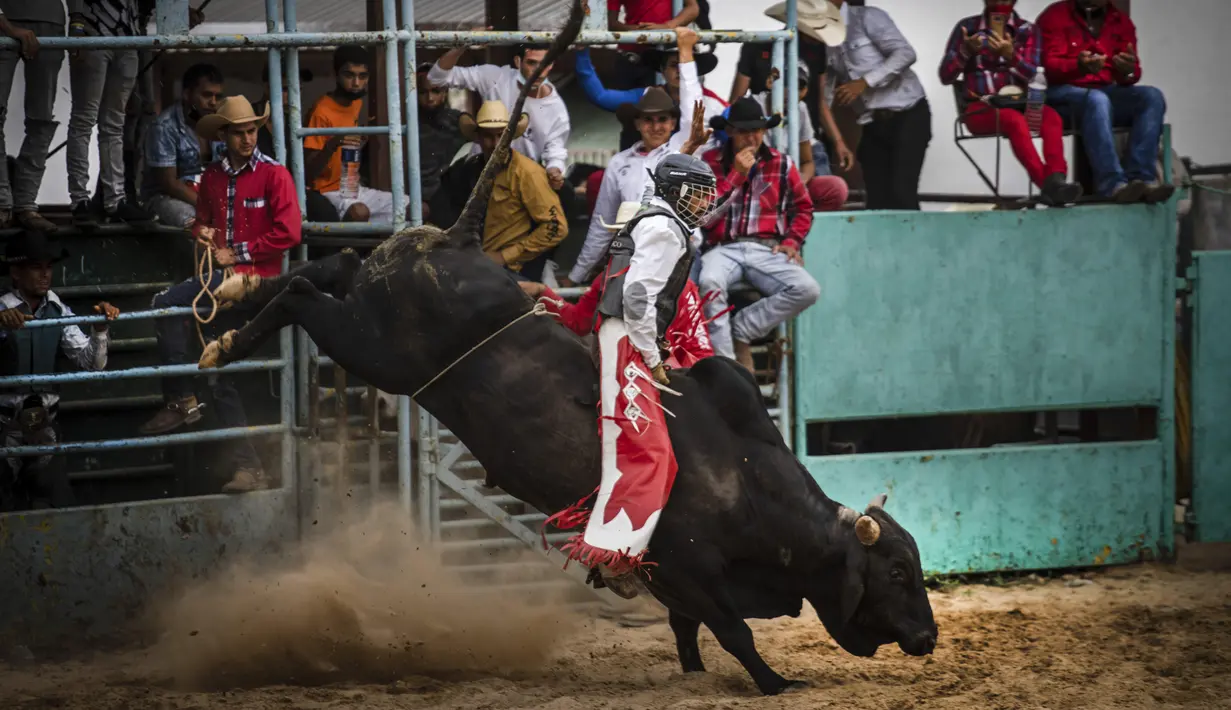 FOTO: Melihat Serunya Kompetisi Rodeo di Kuba - Foto Liputan6.com