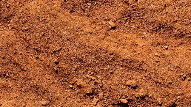 8 Manfaat Tanah bagi Kehidupan di Bumi - Ragam Bola.com