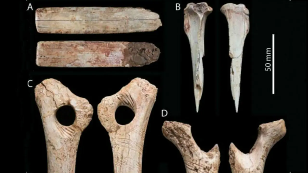 Ada Bukti Ritual Kanibalisme di Kerangka Manusia Zaman Batu - Global ...