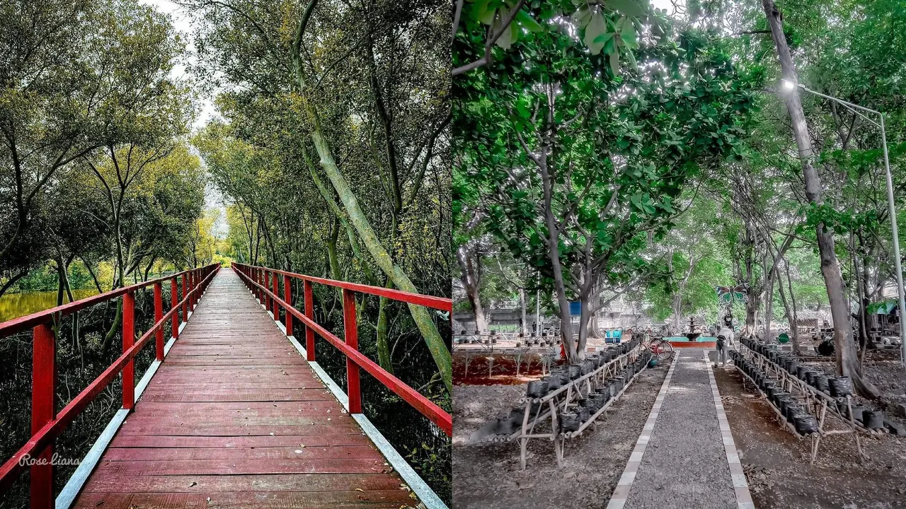 20 Tempat Wisata Indramayu yang Instagramable, Cocok untuk Liburan Keluarga