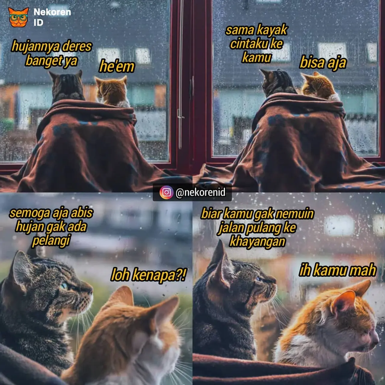 7 Meme Gombalan Kucing Oranye Ini Kocak Bikin Gemas - Hot Liputan6.com