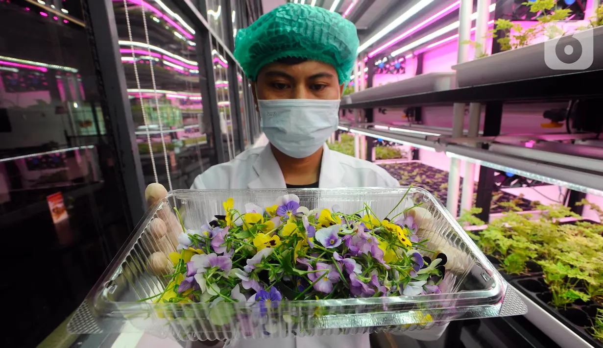 Unik, Kafe di Tangerang Selatan Hadirkan Pertanian Dalam Ruangan - Foto ...