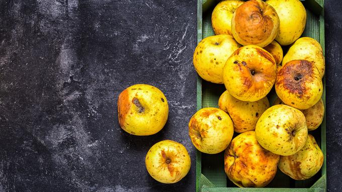 Ini Risiko dan Bahaya Kesehatan Makan Apel yang Mulai Busuk - Lifestyle ...