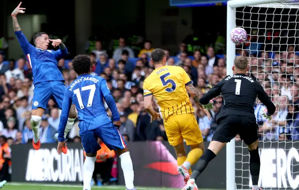 Fungsi Nodus Ranvier pada Sel Saraf, Peran Penting dalam Transmisi ...