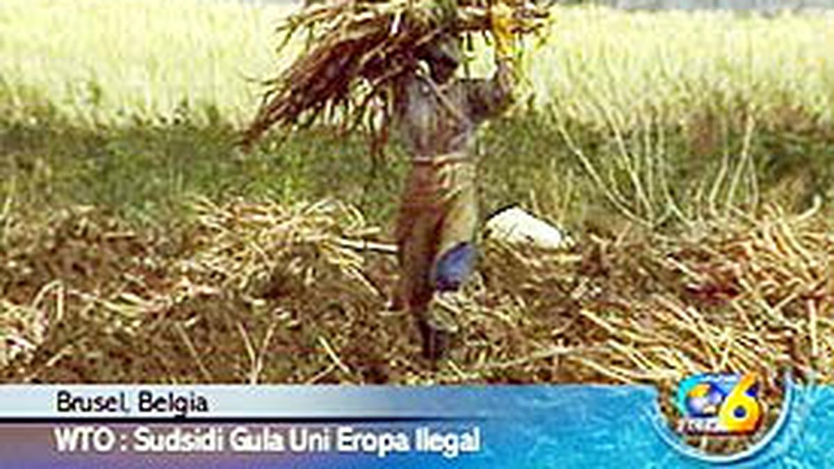 WTO: Subsidi Gula Uni Eropa Ilegal - Global Liputan6.com