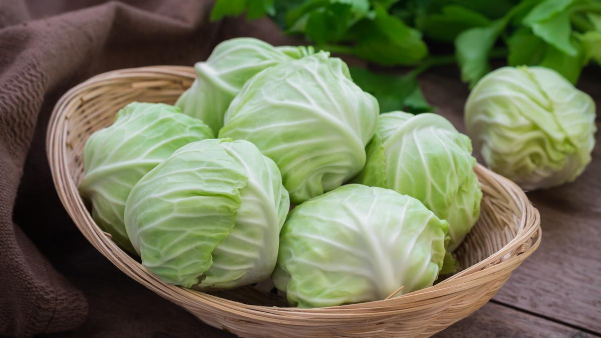 Selain Baik untuk Kesehatan Tulang, Ini 5 Manfaat Kesehatan Lainnya ...