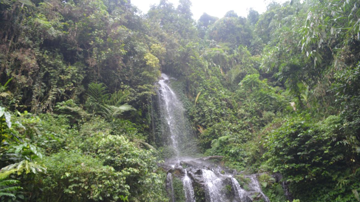 6 Curug Menyegarkan Pikiran yang Layak Jadi Destinasi Liburan di Bogor ...